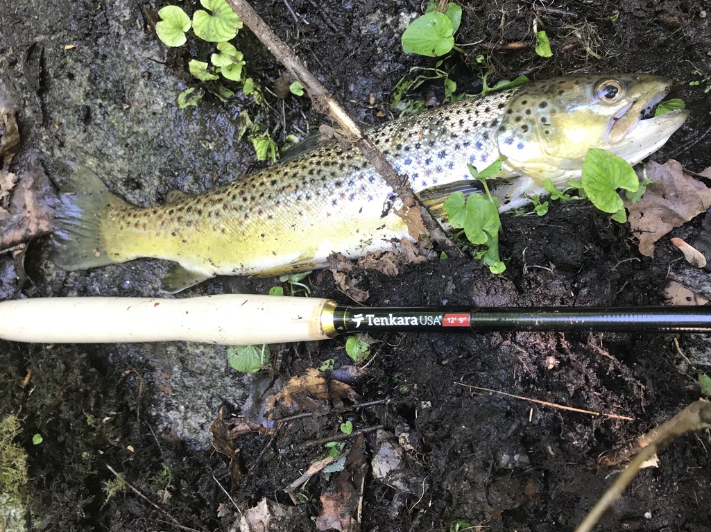 TENKARA Fly Fishing for Trout in JAPAN – ^^ountain ^^an ^dventures
